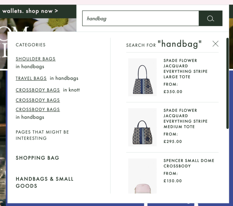 12 Ecommerce Site Search Best Practices (With Examples) - The Good